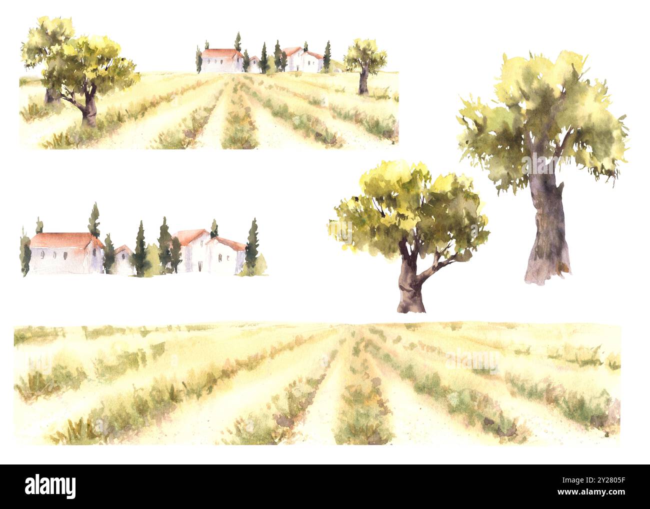 Trees in field green Cut Out Stock Images & Pictures - Alamy