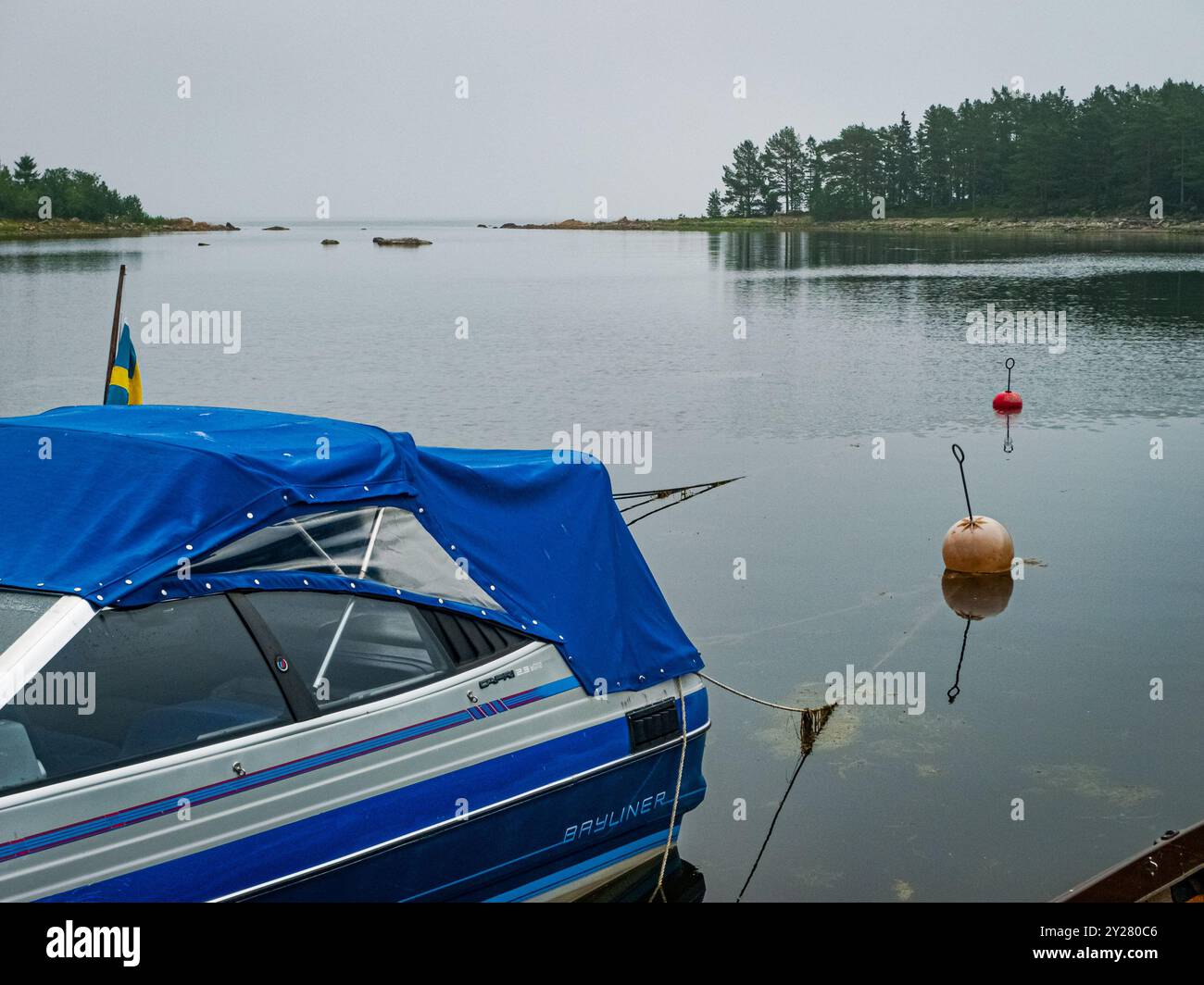 Sailing boat in Bottenviken sea, Norrfjarden, Sweden Stock Photo - Alamy