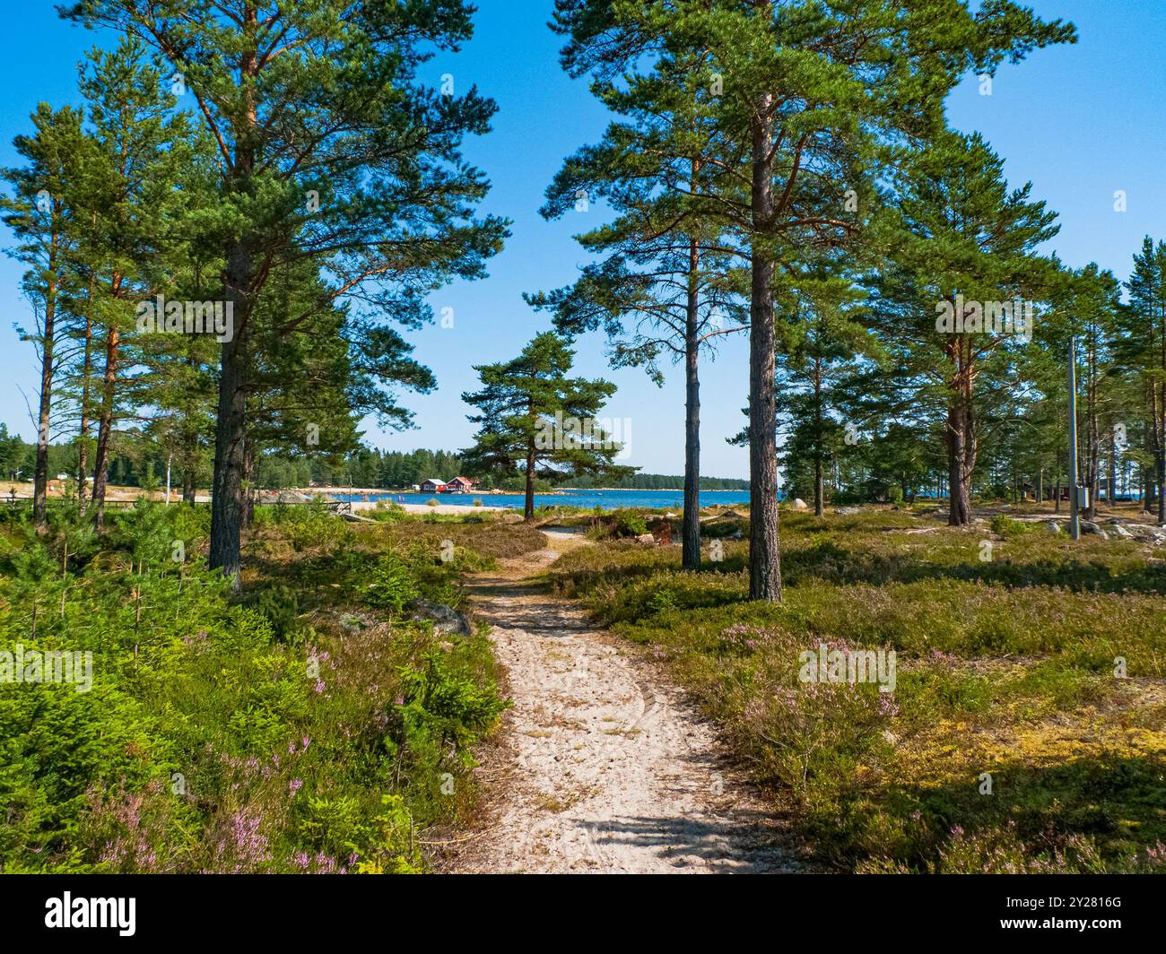 Path to Bottenviken sea in Norrfjarden, Nordmaling, Sweden Stock Photo ...