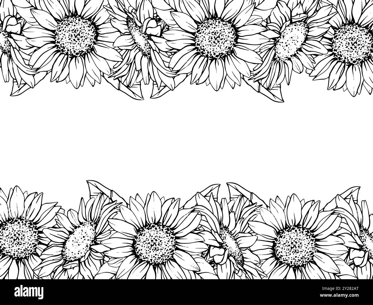 Sunflower Frame. Vector Flower arrangement drawing in line art style ...