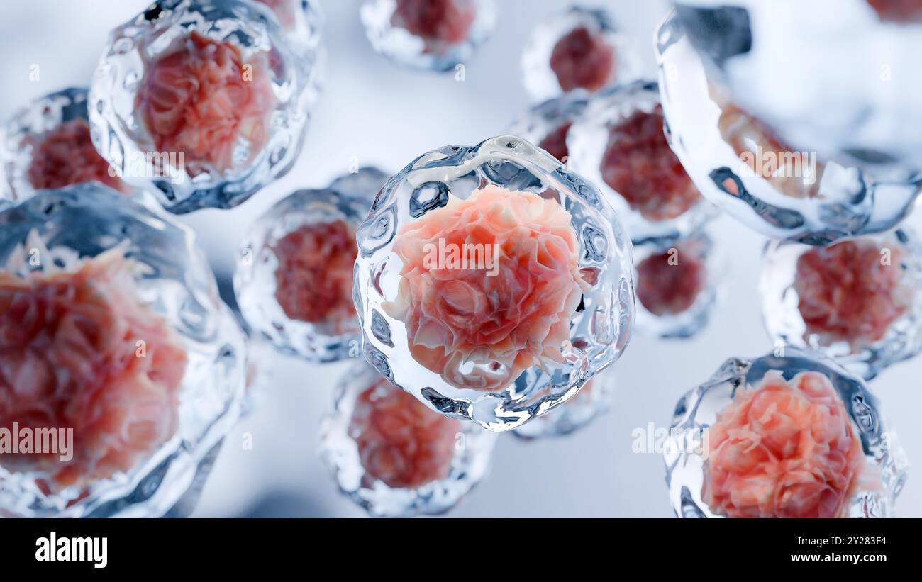 Human cells floating, Embryonic stem cell, Cellular therapy and ...