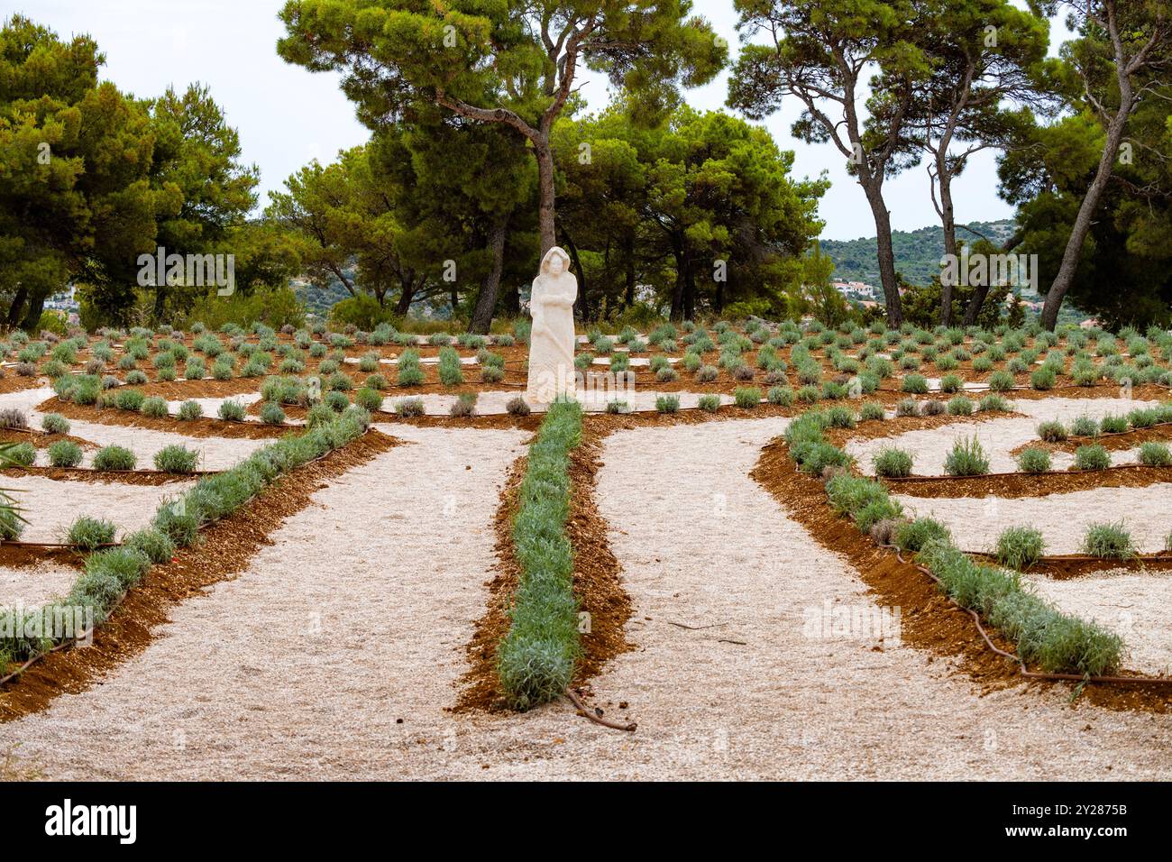 Rogoznica lavender labyrinth statue hi-res stock photography and images ...