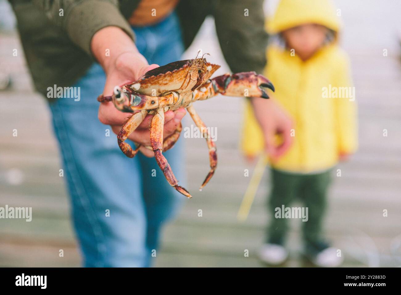 A man holding up a freshly caught crab Stock Photo - Alamy