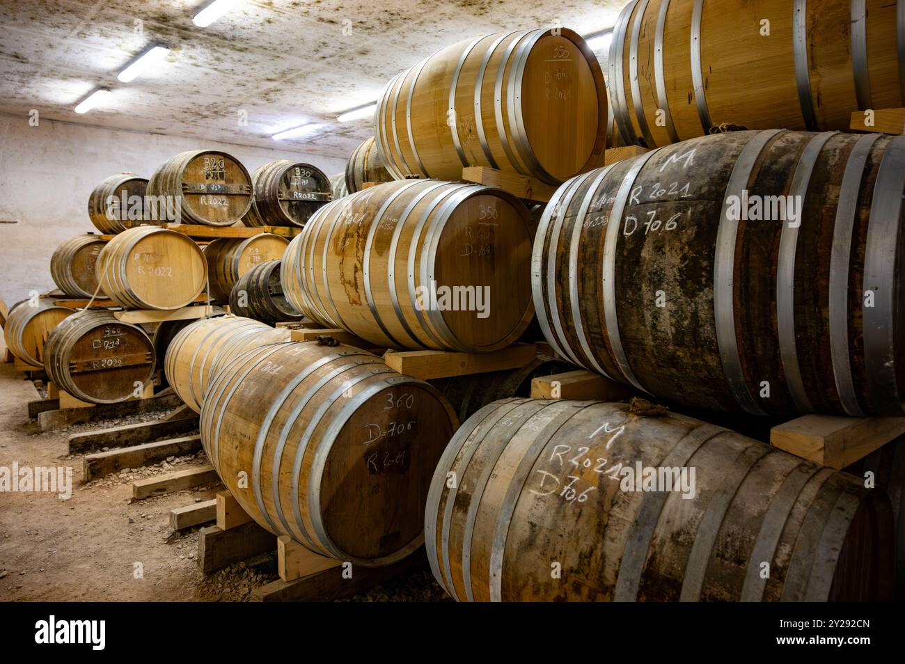 Aging process of cognac spirit in old dark French oak barrels in cool ...