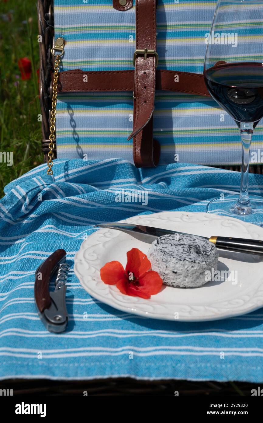Picnic with cheese, French Cendre Lait cru Chevre black cheese made ...