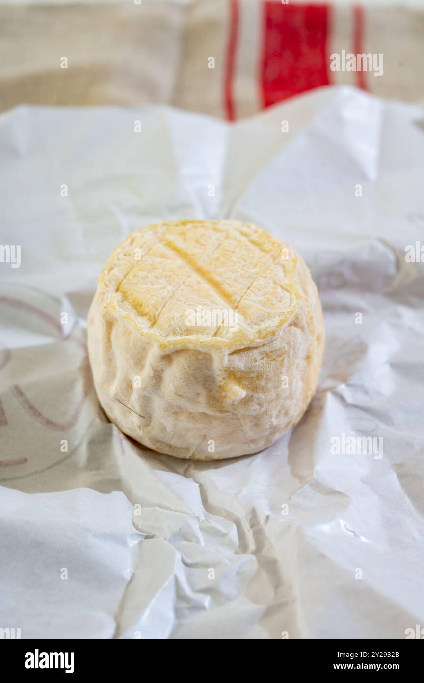Cheese collection, soft goat French cheese with mold crottin de ...