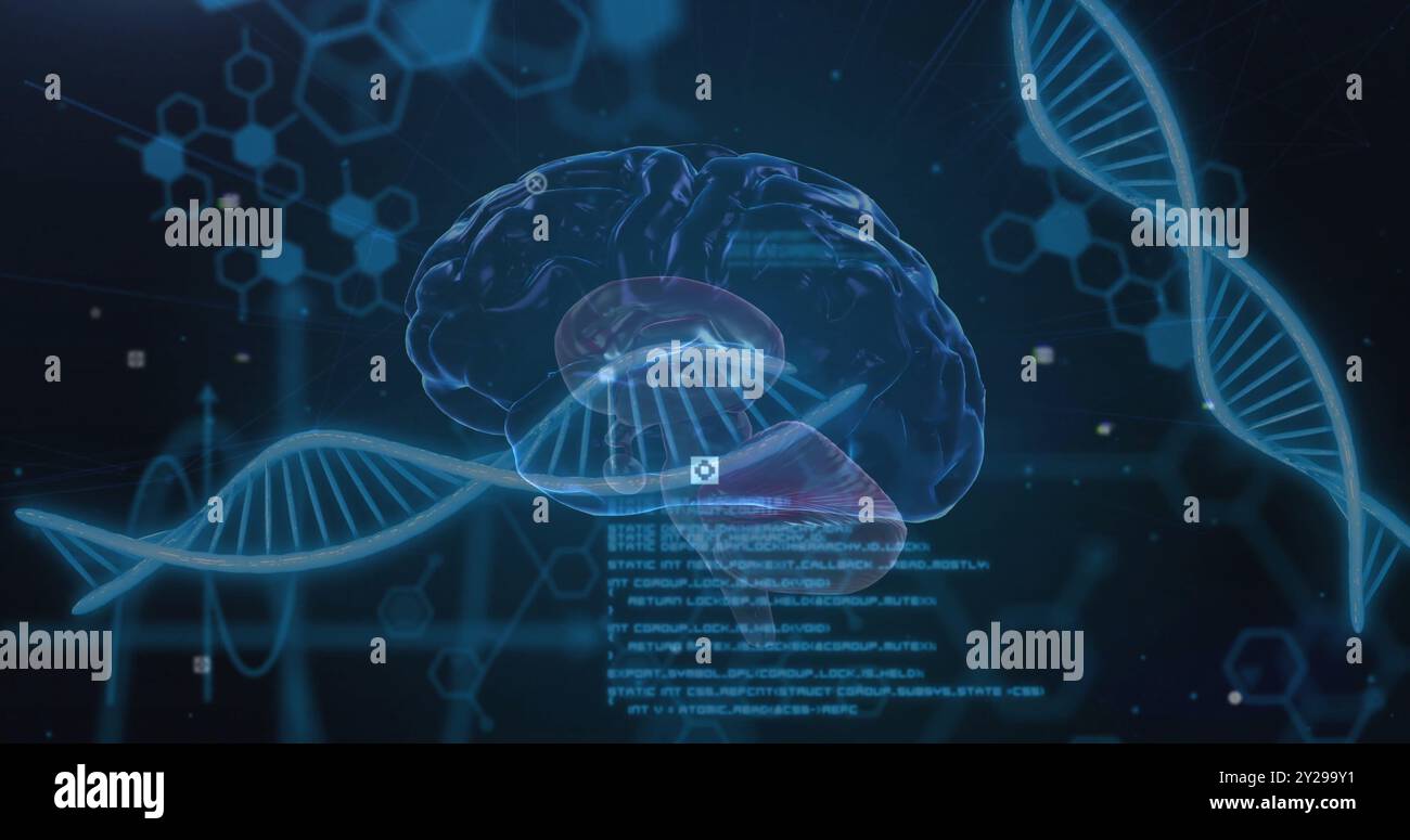 Image of scientific data processing over human brain and dna strands on ...