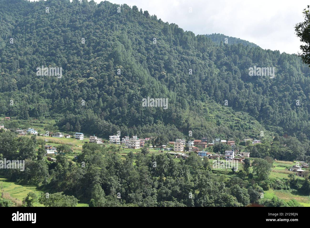 Godawari municipality, Nepal, Bajrabarahi temple, Chapagaun, Lele, Lele ...