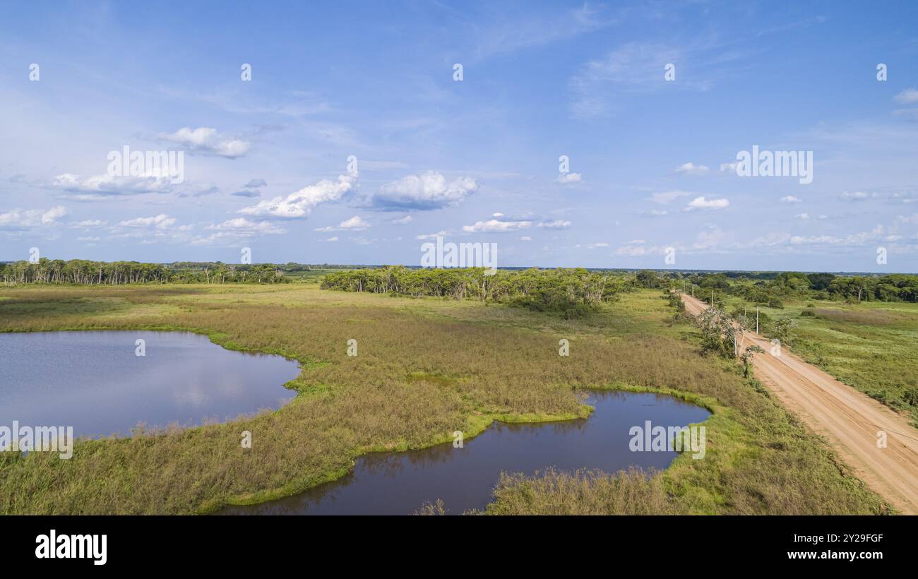 Aerial view of Transpantaneira dirt road along a typical lagoon and ...