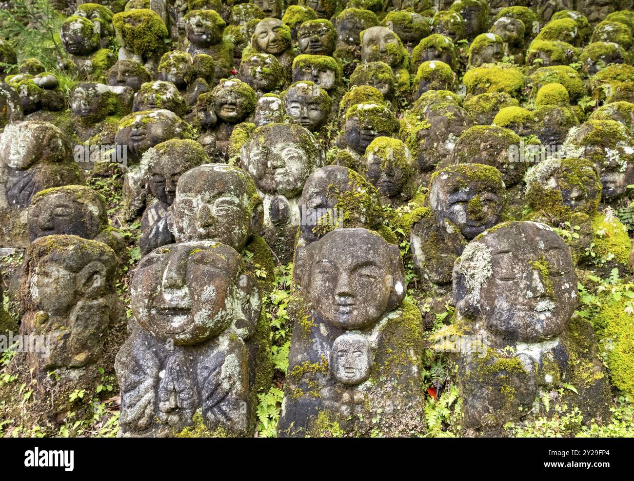 Moss-covered stone statues of rakans, the disciples of Buddha, Otagi ...