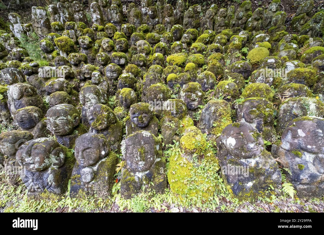 Moss-covered stone statues of rakans, the disciples of Buddha, Otagi ...