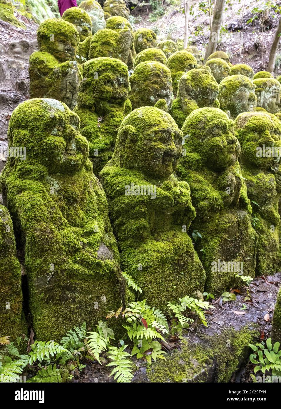Moss-covered stone statues of rakans, the disciples of Buddha, Otagi ...