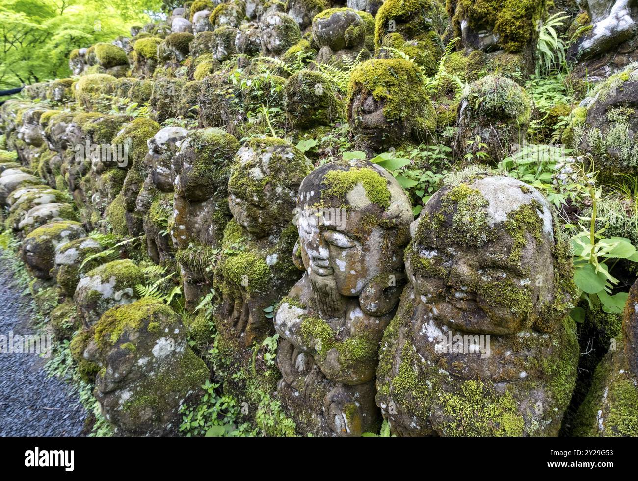 Moss-covered stone statues of rakans, the disciples of Buddha, Otagi ...