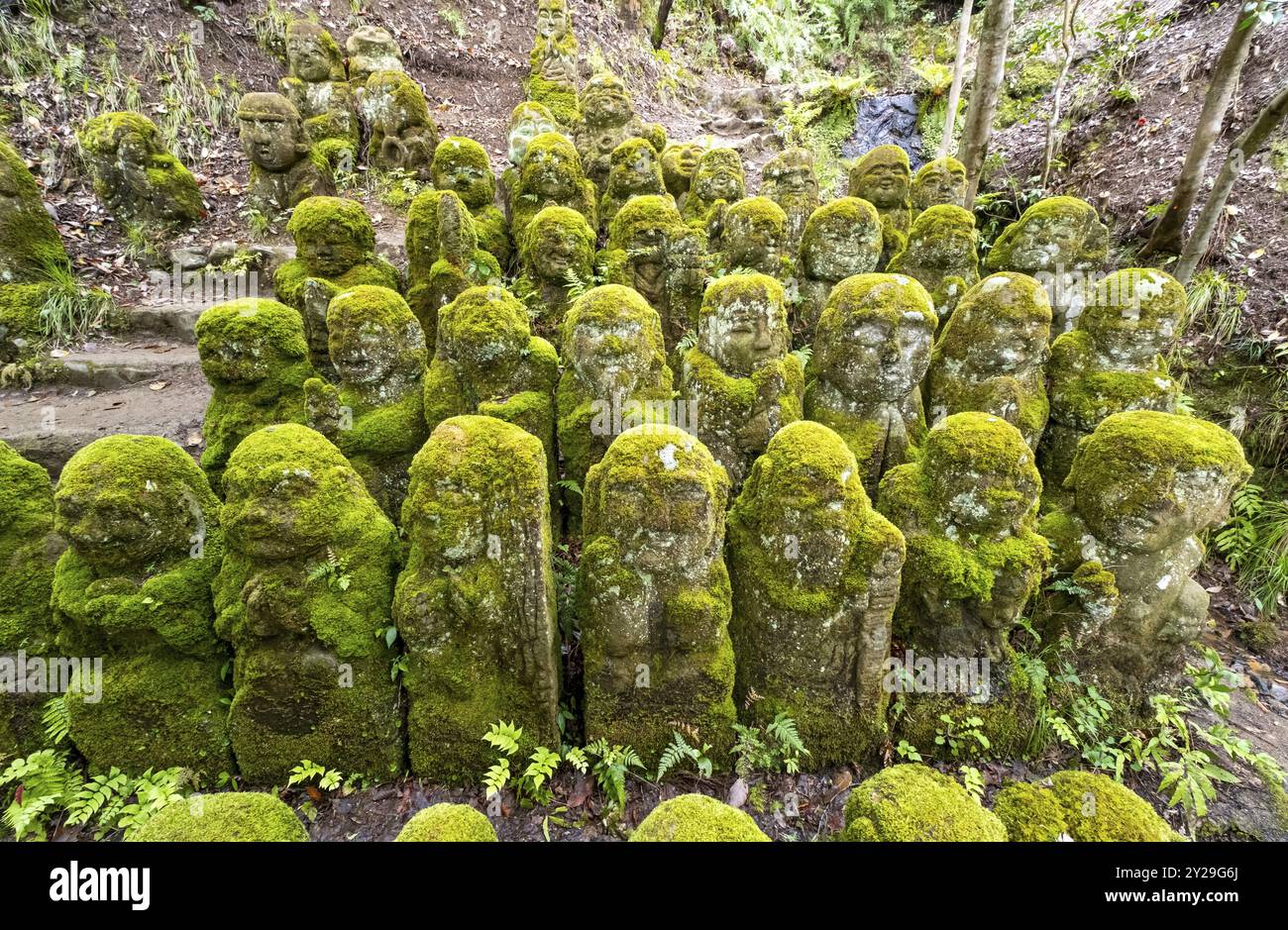 Moss-covered stone statues of rakans, the disciples of Buddha, Otagi ...