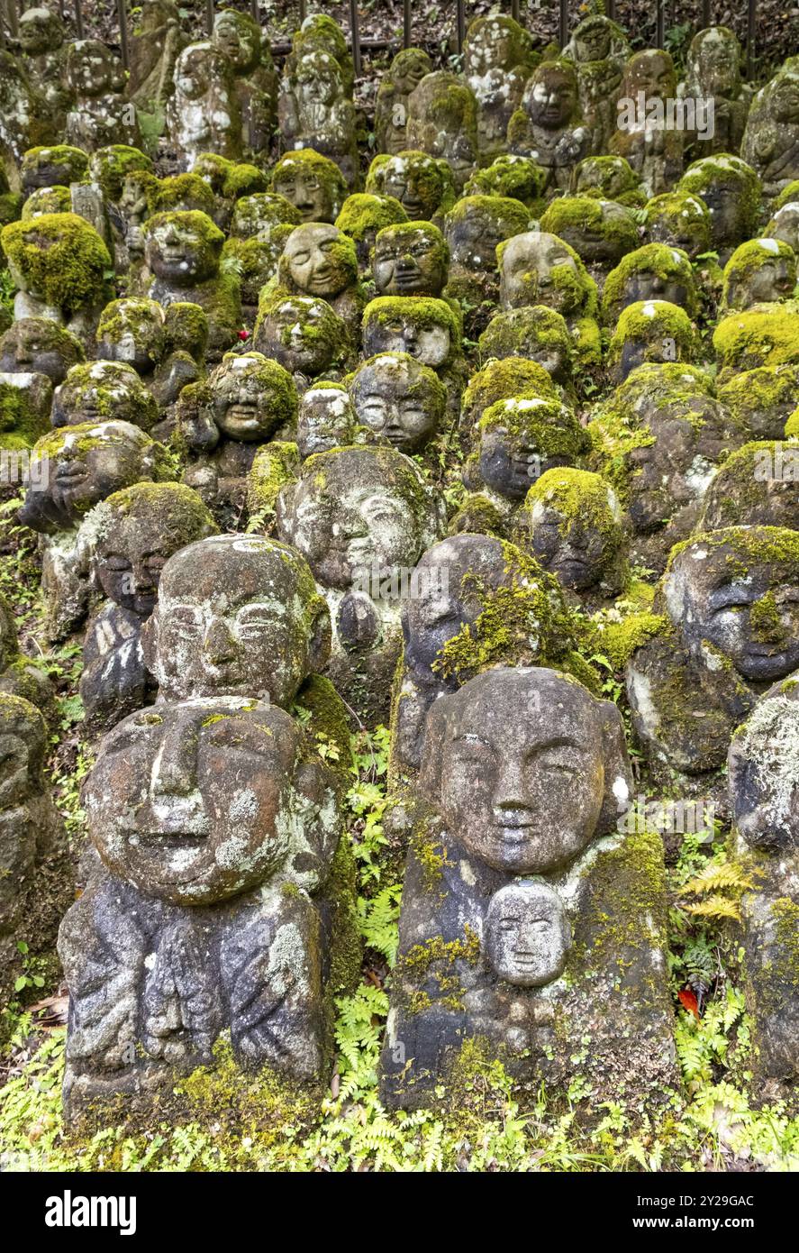 Moss-covered stone statues of rakans, the disciples of Buddha, Otagi ...