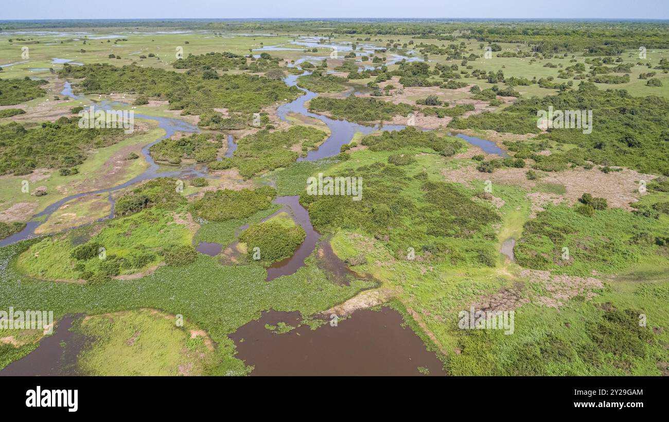 Aerial shot of typical Pantanal Wetlands landscape with lagoons, forest ...