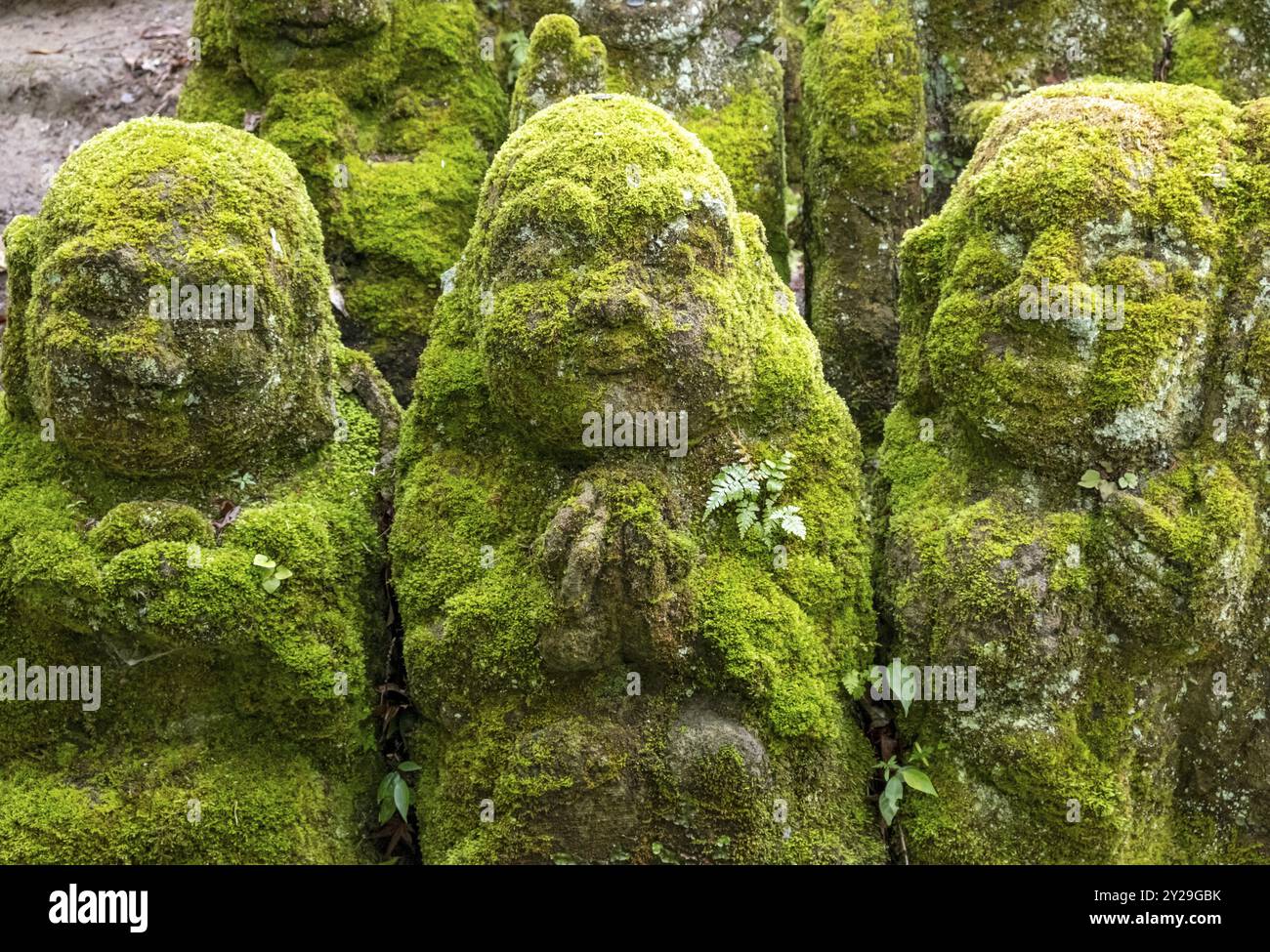 Moss-covered stone statues of rakans, the disciples of Buddha, Otagi ...