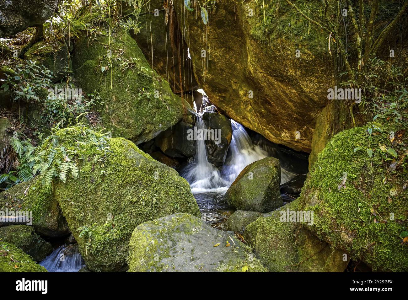 Scenic small waterfall plunging through big moss covered rocks into a ...