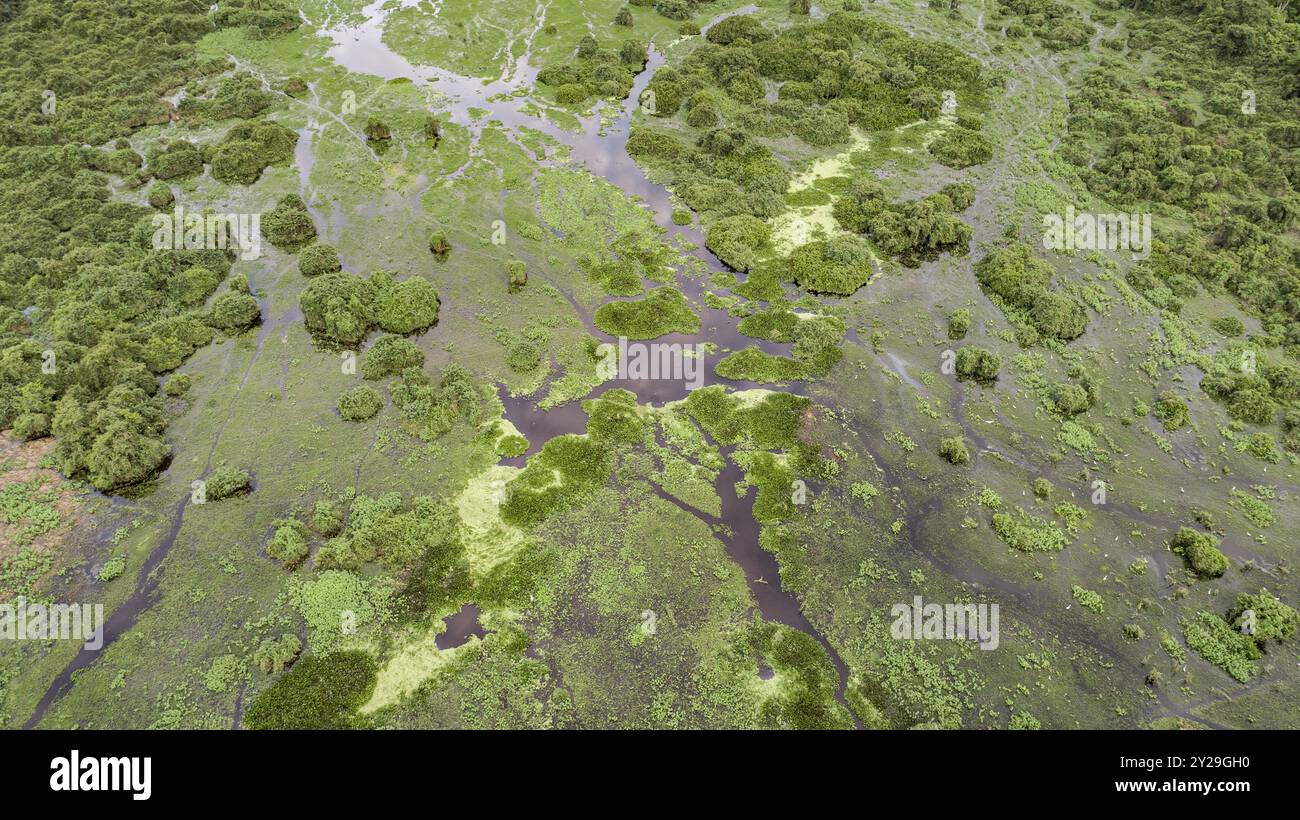 Natural scenery wetlands aerial overhead birds eye view above hi-res ...