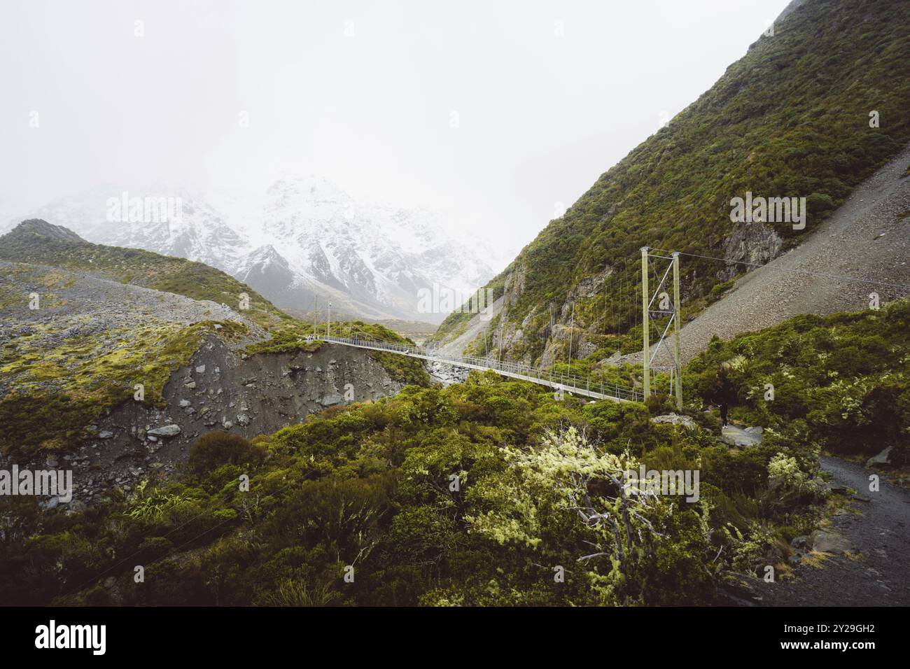 Suspension bridge over a gorge between green forested mountains, Hooker ...