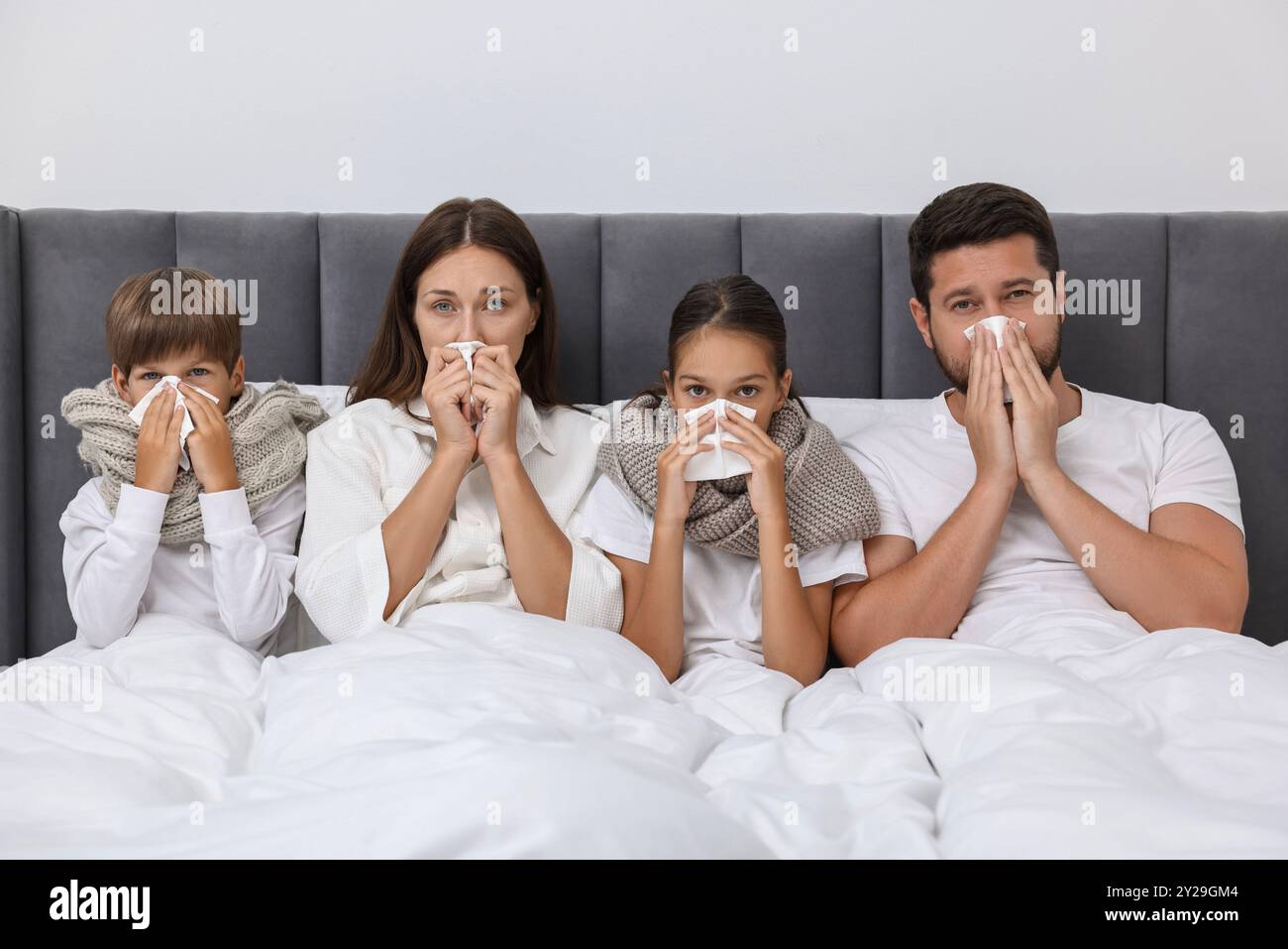 Cold symptom. Family suffering from fever in bed at home Stock Photo ...