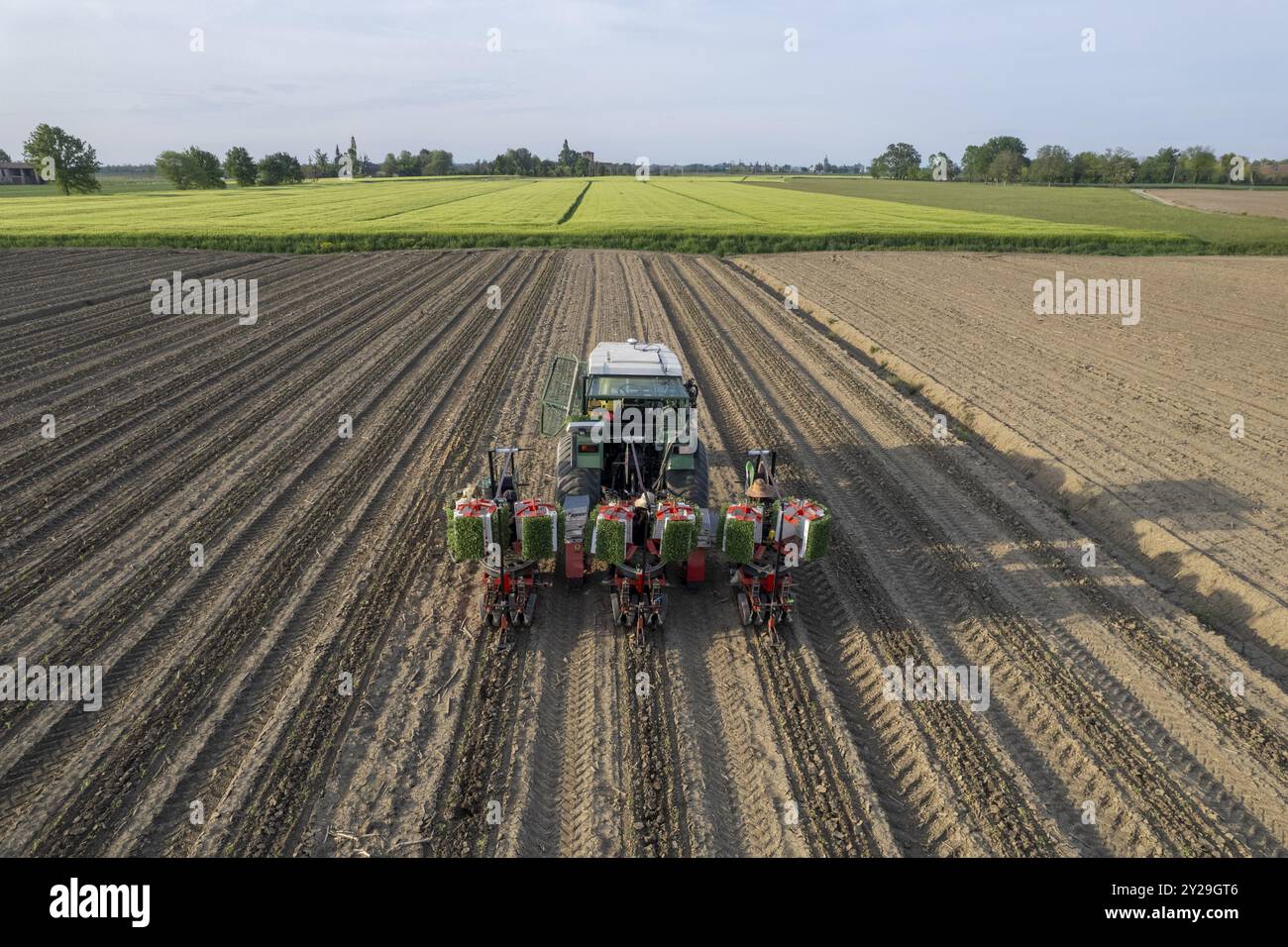 Aerial view of tractor planting tomato seedlings in vast field ...