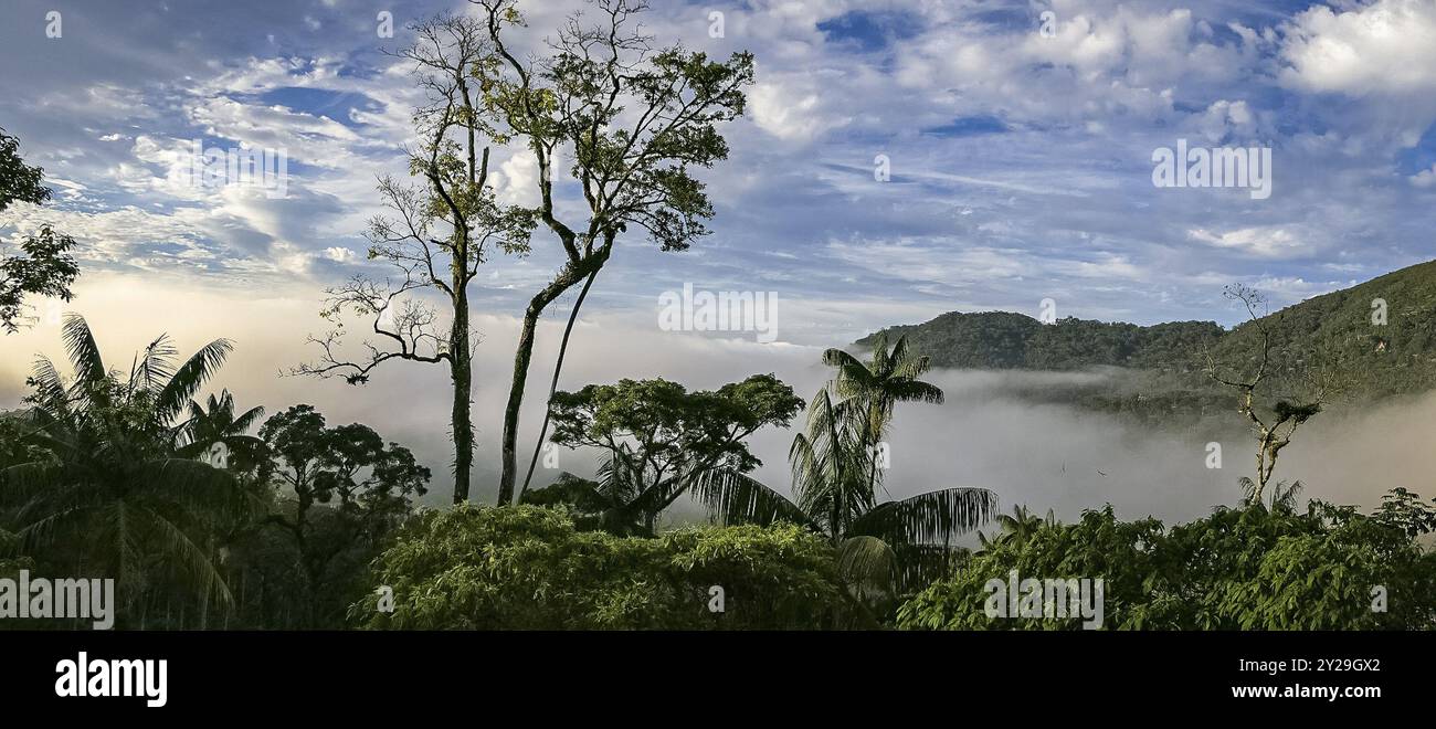 Atlantic forest mountains, valley covered with fog and blue sky with ...