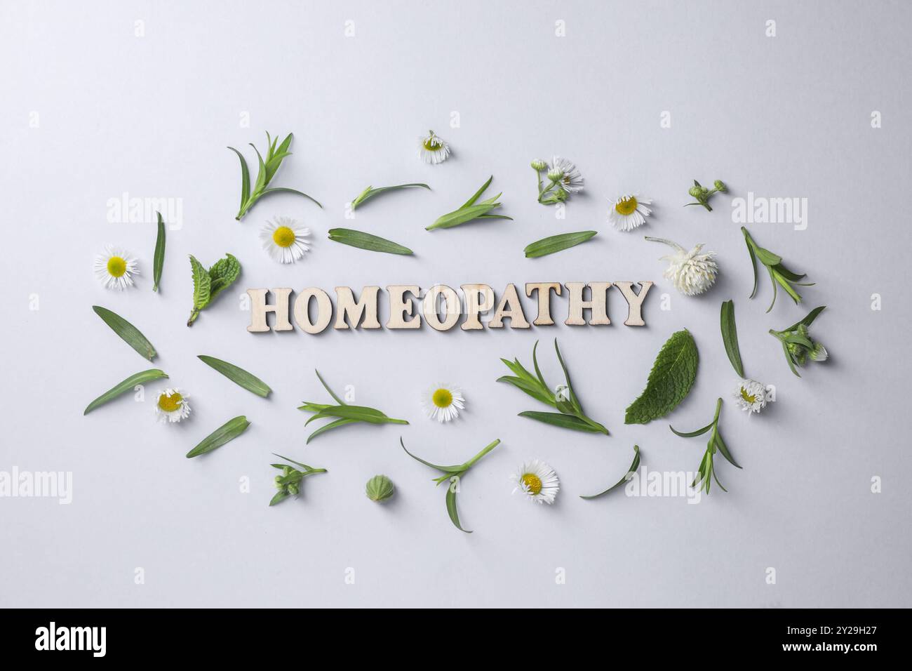 Word Homeopathy and medicinal herbs on white background, flat lay Stock ...