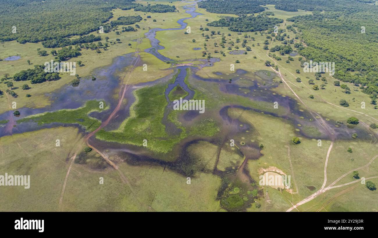 Amazing aerial view of typical Pantanal wetlands landscape crossed by ...