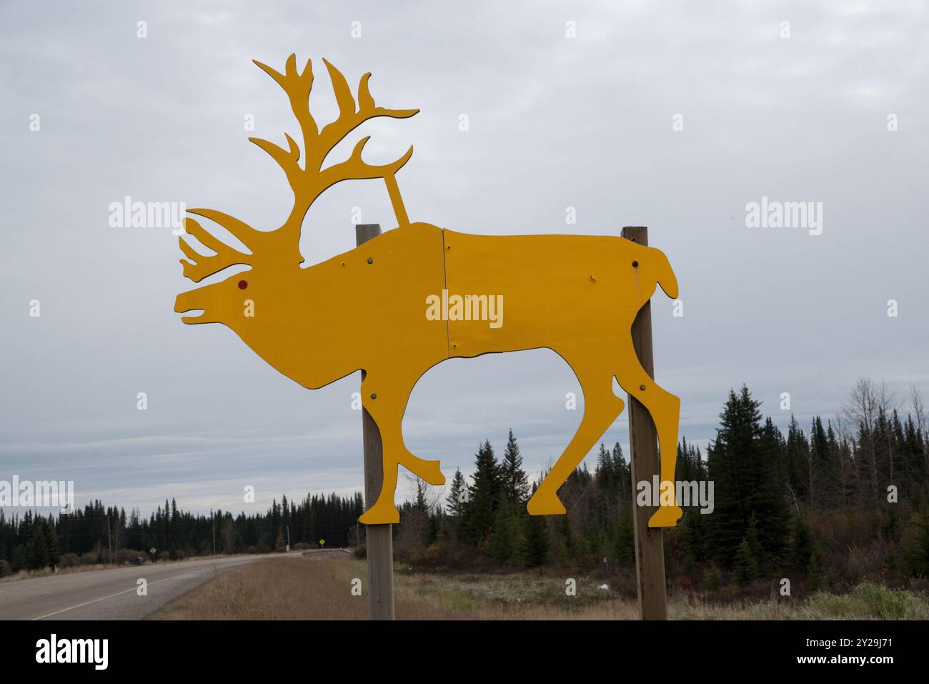Yellowhead Highway towards Canadian Rocky Mountains at the border of ...