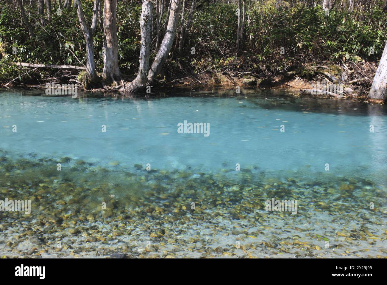Azure colored river in Matsumoto, Japan, Asia Stock Photo - Alamy