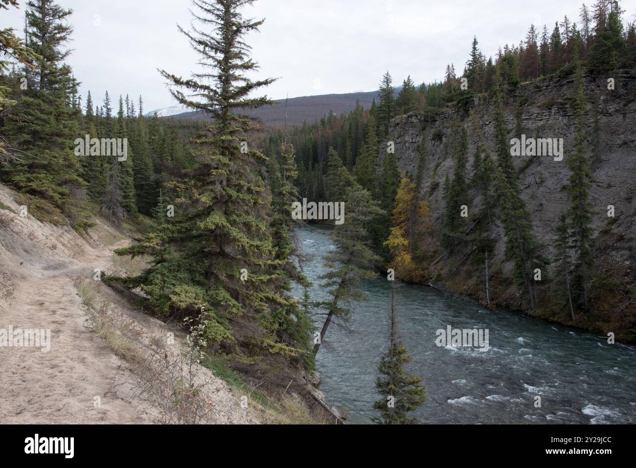 Maligne Canyon is a pitoresque gorge of the Maligne River in Jasper ...