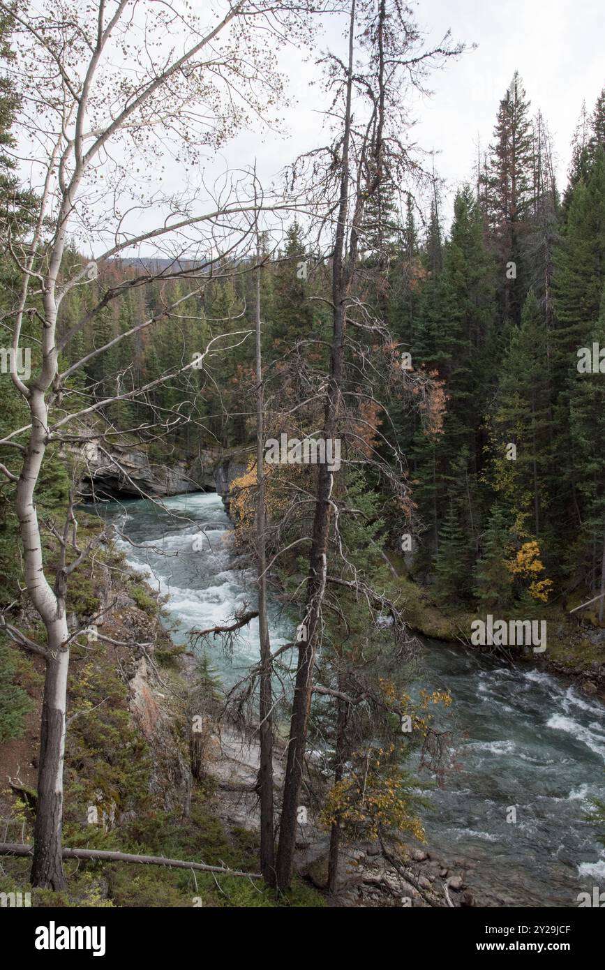 Maligne Canyon is a pitoresque gorge of the Maligne River in Jasper ...