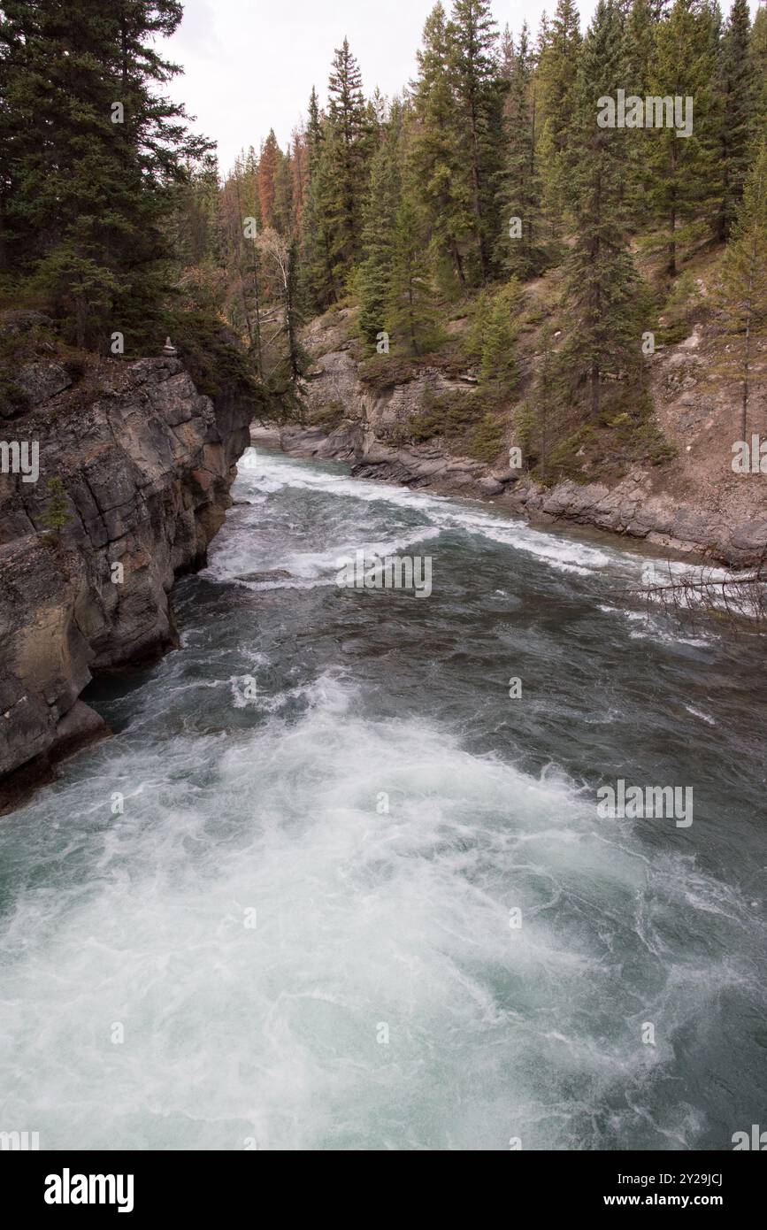 Maligne Canyon is a pitoresque gorge of the Maligne River in Jasper ...