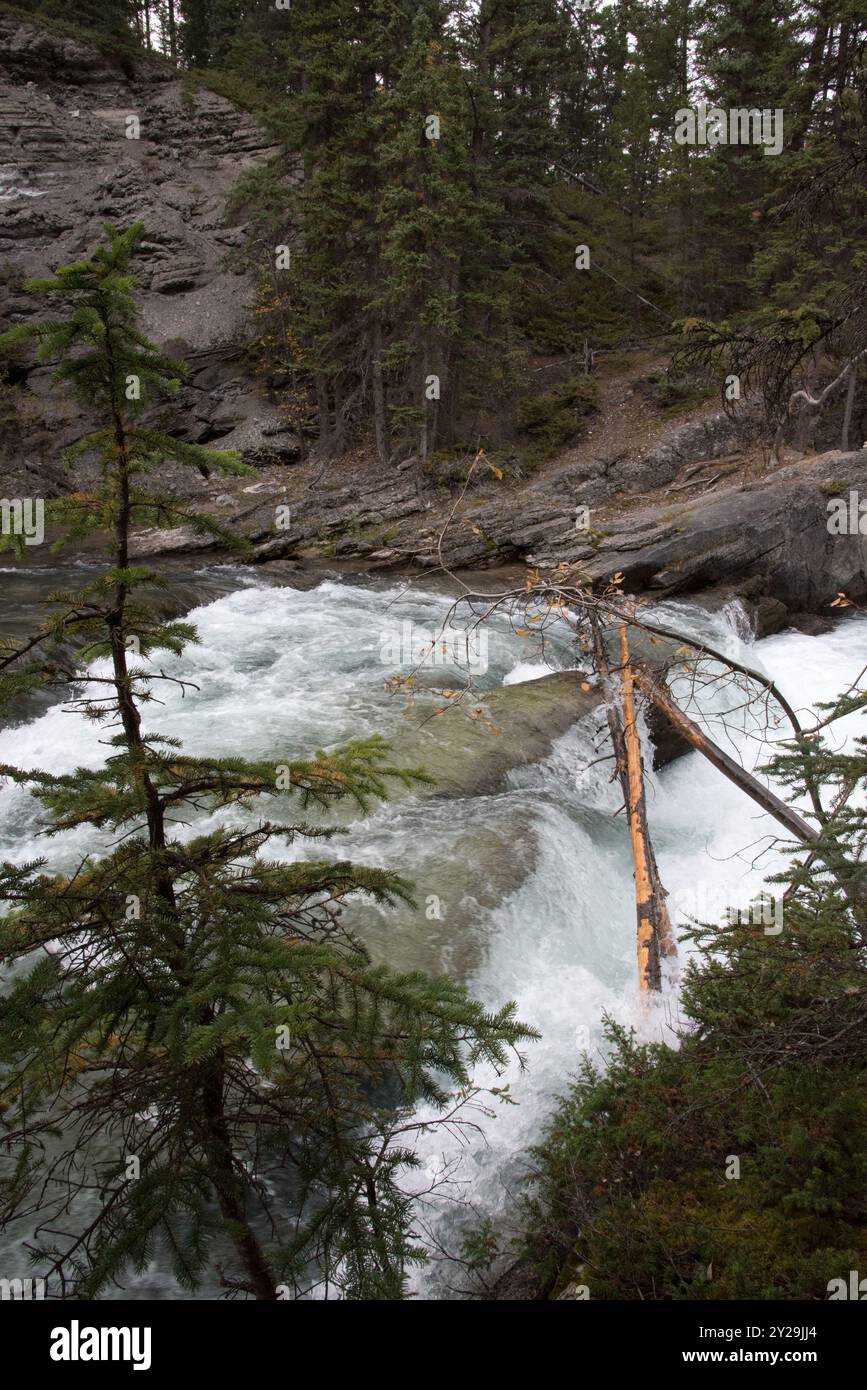 Maligne Canyon is a pitoresque gorge of the Maligne River in Jasper ...