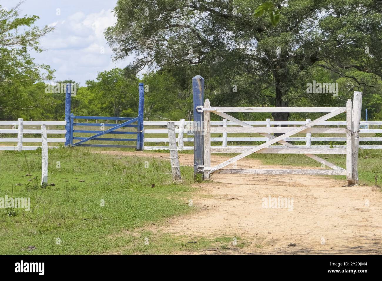 Wooden fence and gate on a farm in the Pantanal Wetlands, Mato Grosso ...