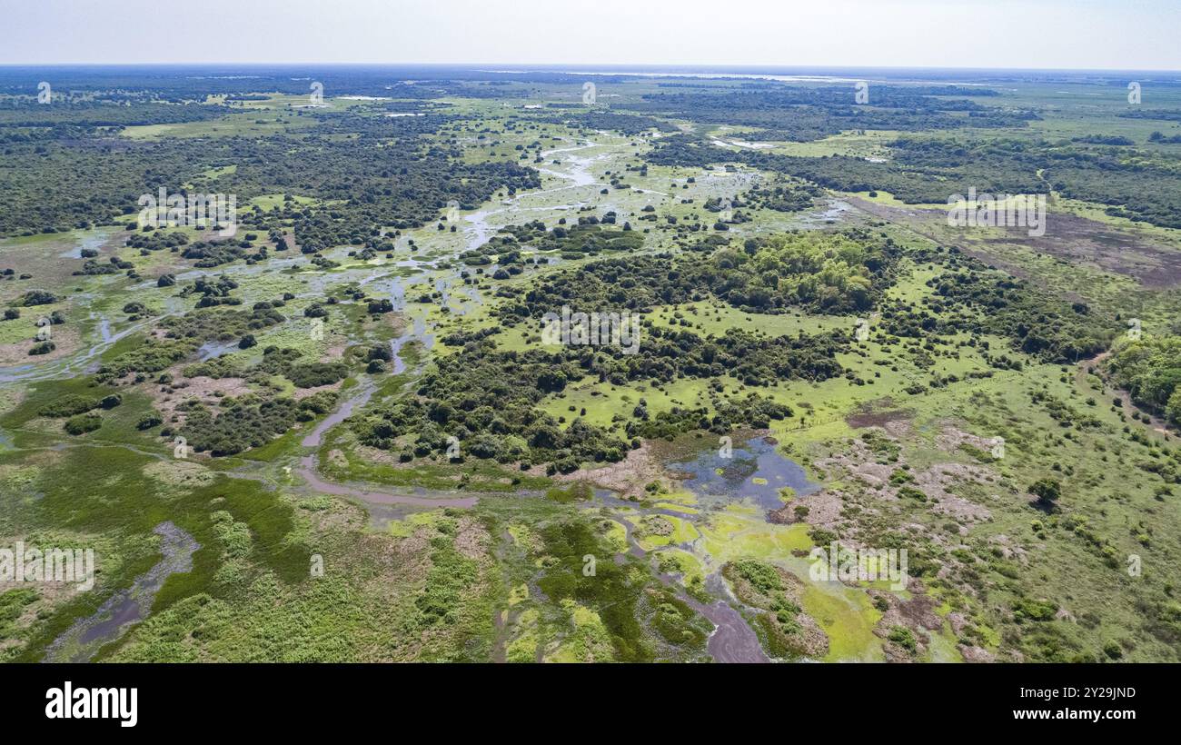 Aerial shot of typical Pantanal Wetlands landscape with lagoons ...