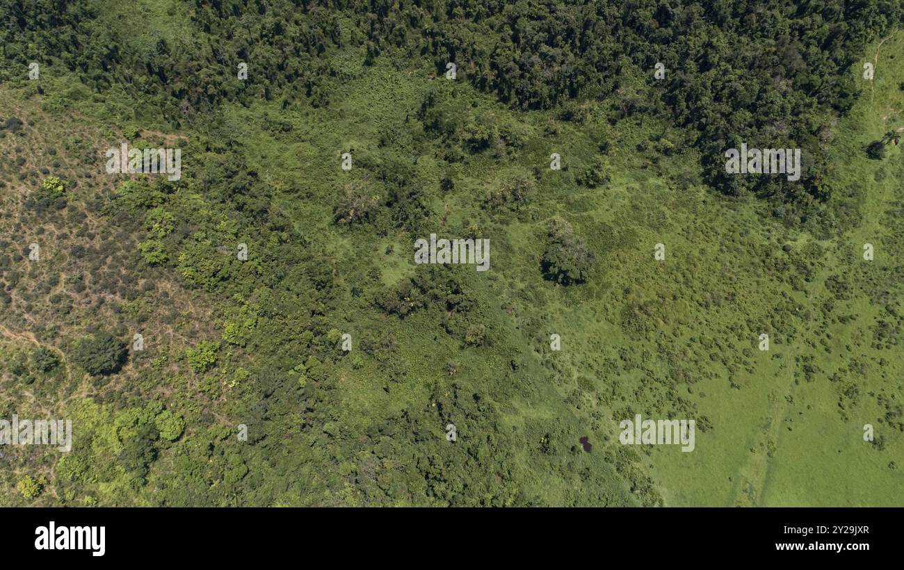 Aerial view to cleared pasture land and rests of Atlantic forest in the ...