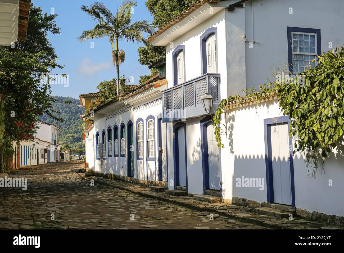 Historic colonial estate in white and blue with plants and palm tree in ...