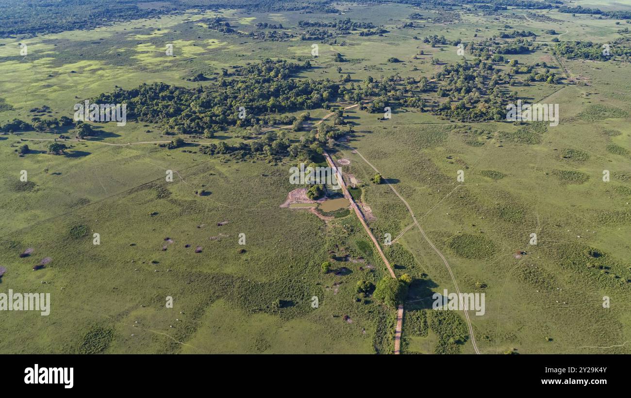 Aerial view of typical rural landscape in Pantanal wetlands, Mato ...