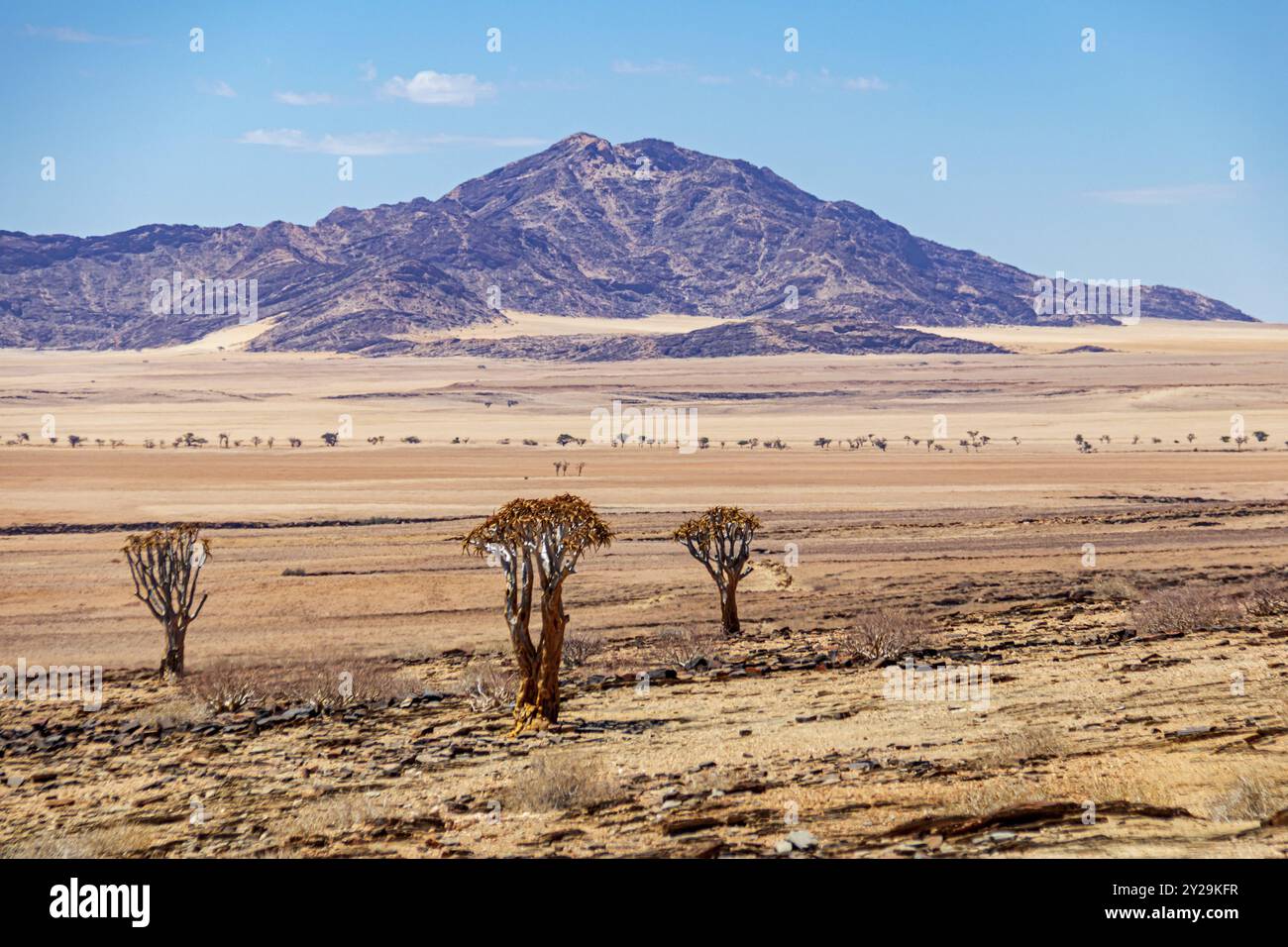 Empty quiver hi-res stock photography and images - Alamy