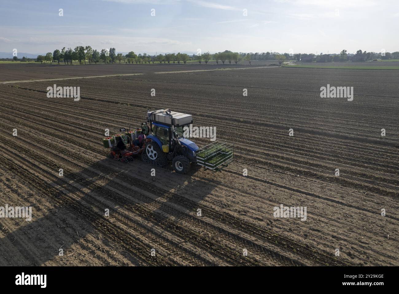 Blue tractor is planting tomatoes in a field, leaving a trail of ...