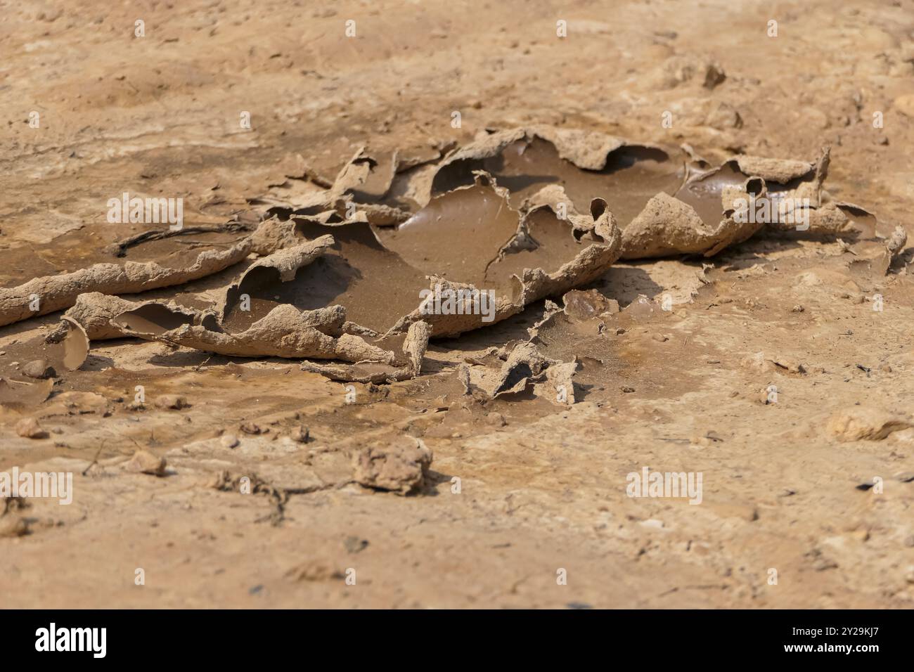 Dried cracked mud puddle at a sandy river edge, Pantanal Wetlands, Mato ...