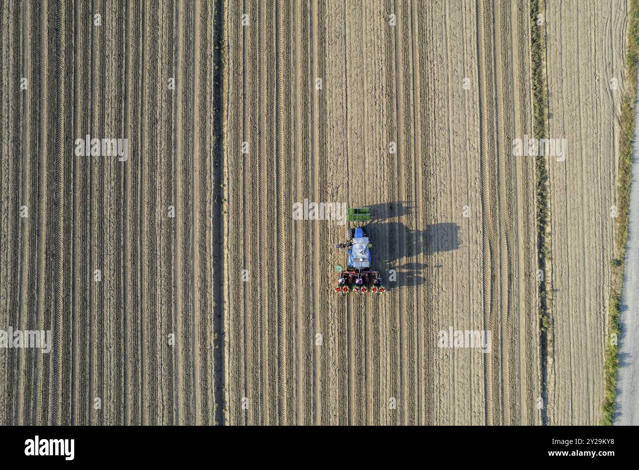 Overhead Aerial view of a tractor pulling an automatic tomato planter ...