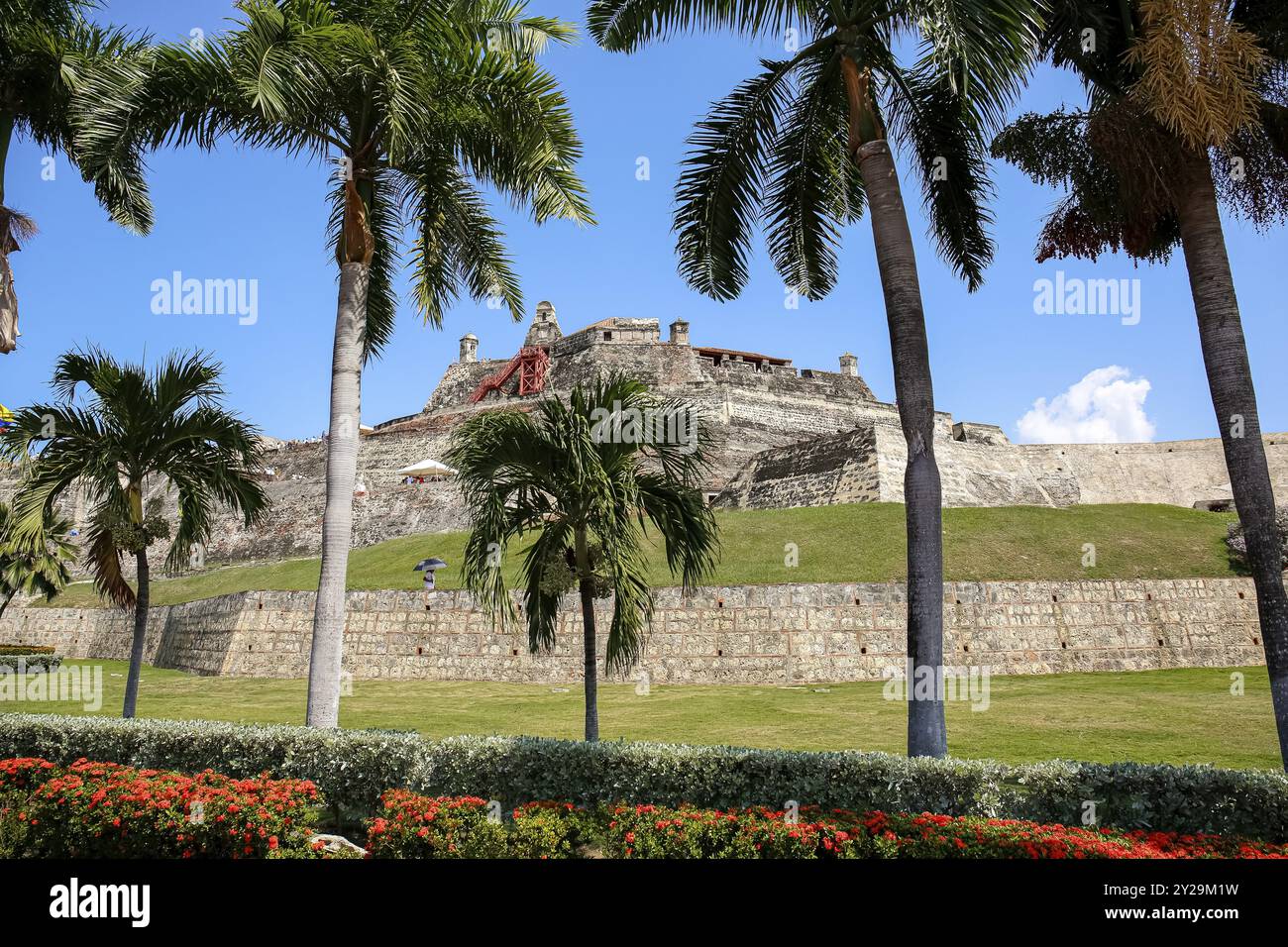Castle San Felipe de Barajas with palm trees in front on a sunny day ...