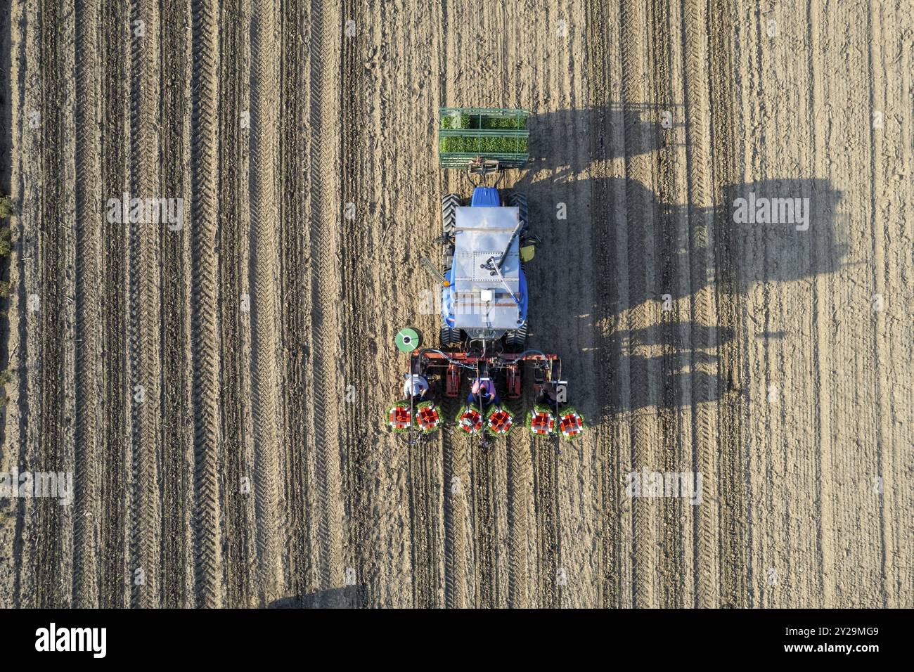 Overhead Aerial view of a tractor pulling an automatic tomato planter ...