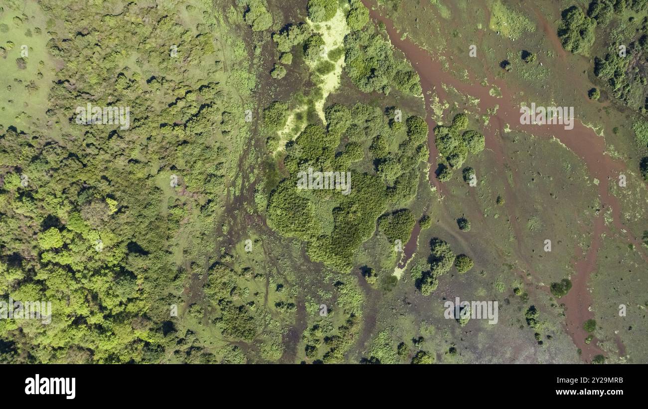 Aerial shot of Pantanal landscape with lagoons, forest, meadows, river ...