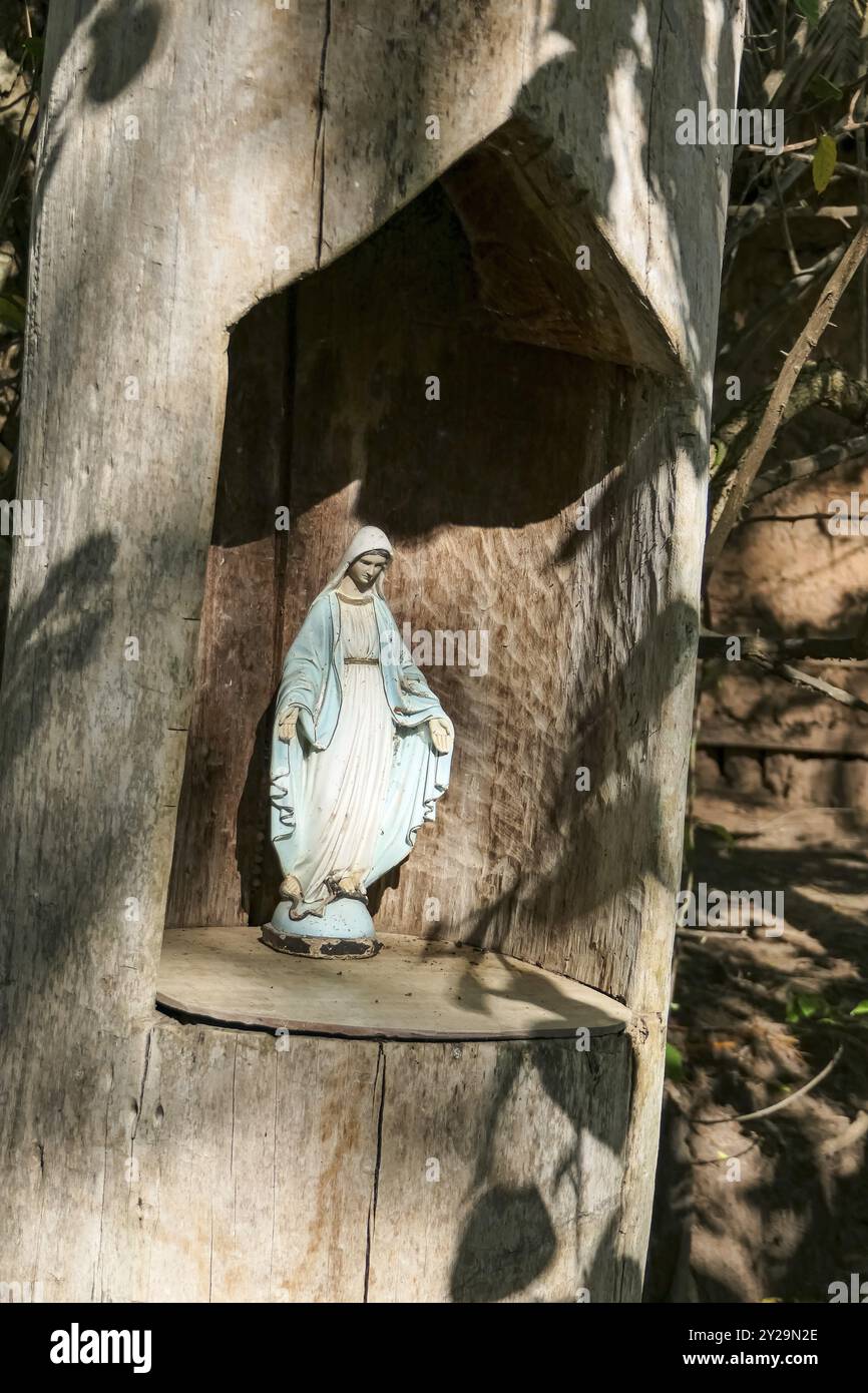 Madonna-Statue standing in a carved niche of a tree stump, Pantanal ...
