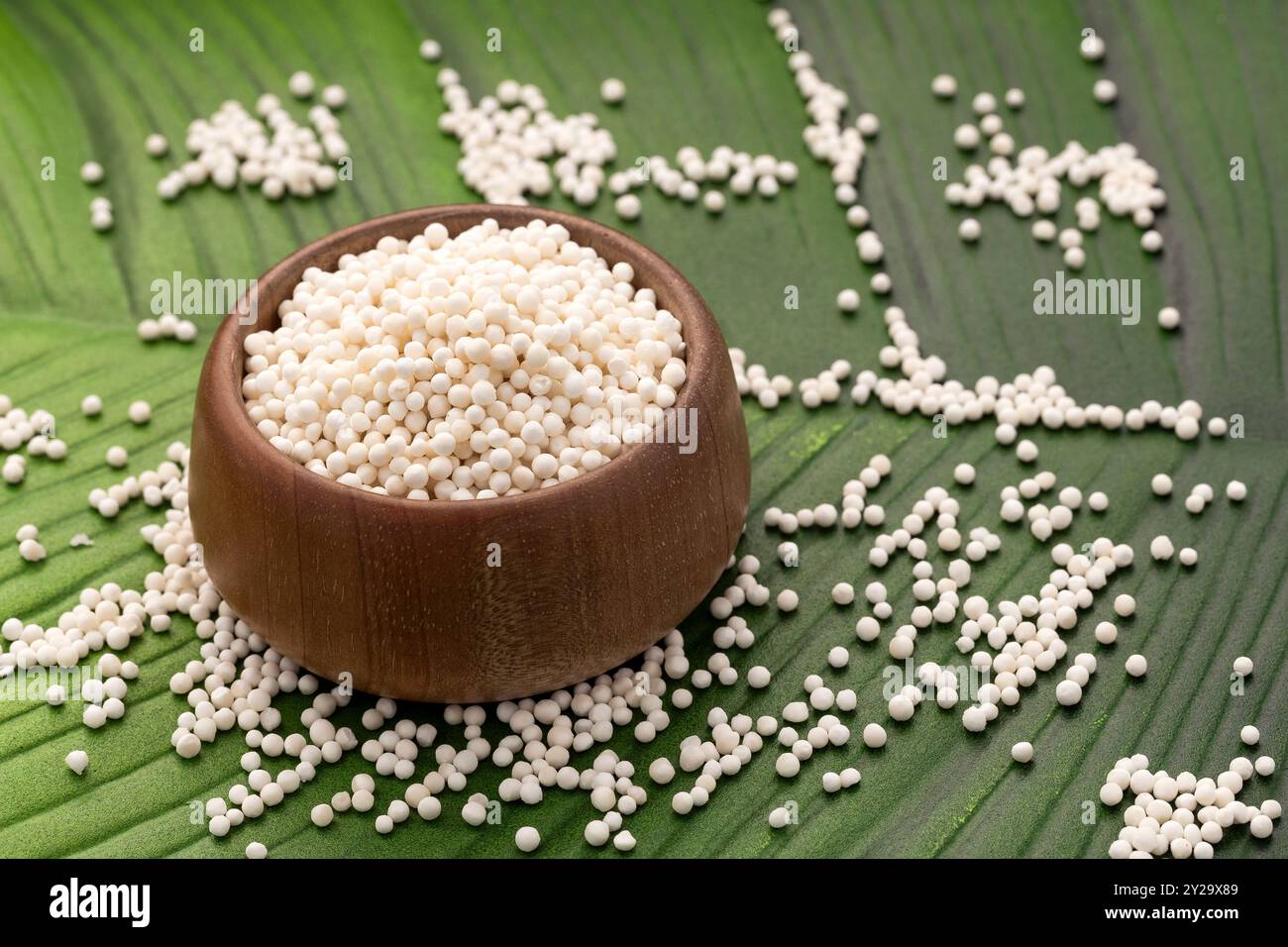 Tapioca pearls from the cassava root - White sagu balls in the bowl ...