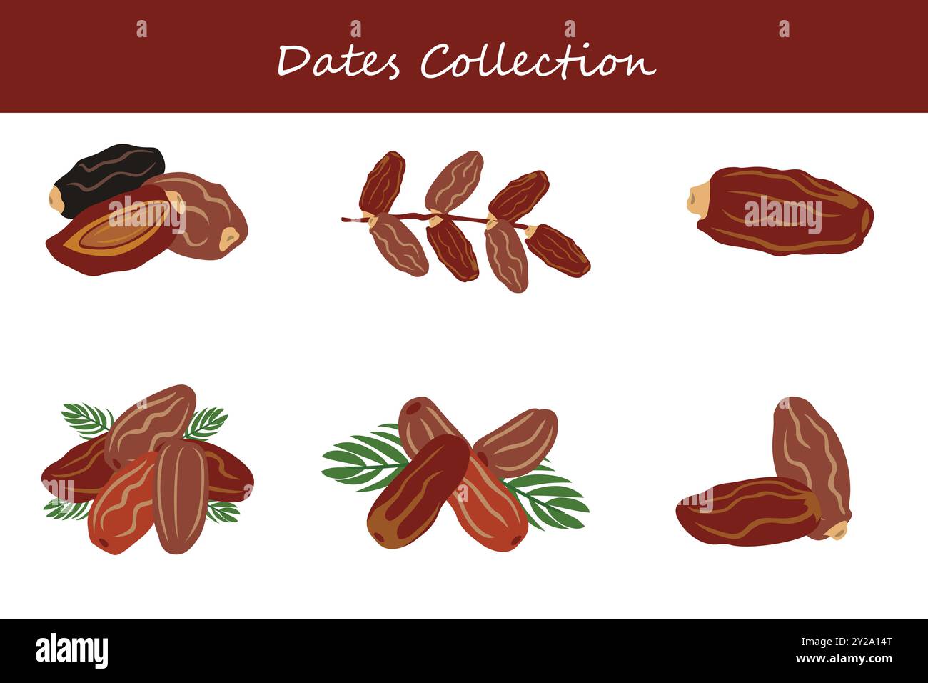 dates collection in different poses. Vector illustration Stock Vector ...
